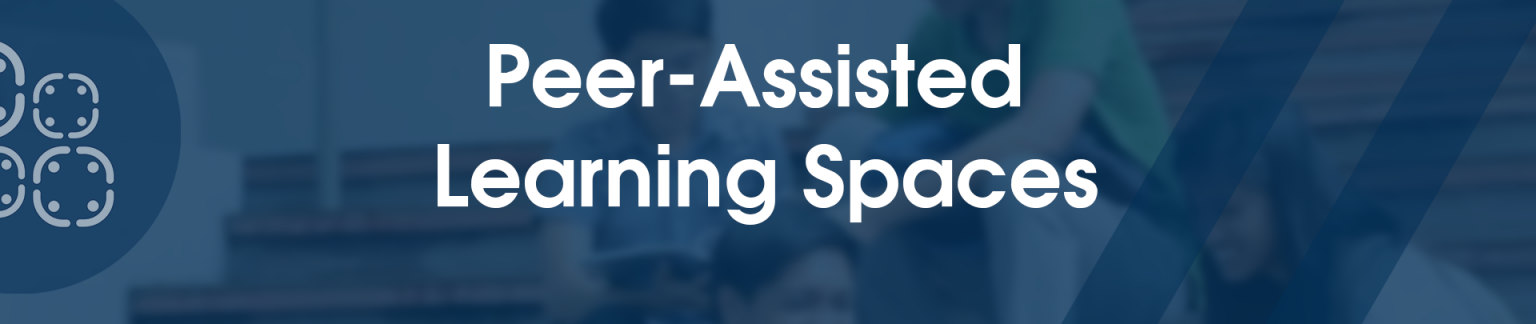 Peer-Assisted Learning Spaces (PALS) – Interactive Learning Center Diliman